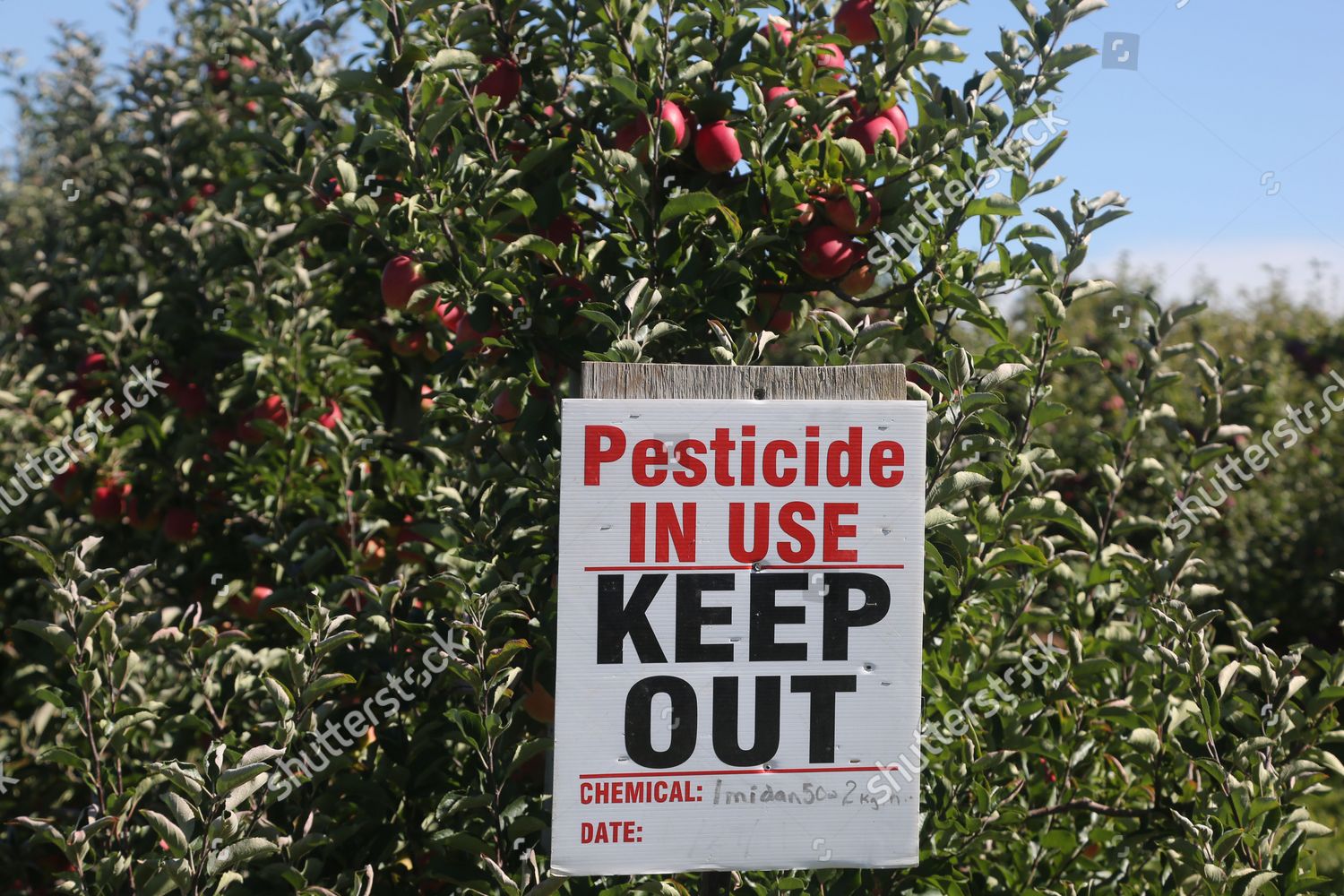 Sign Warning Pesticide Use On Apple Editorial Stock Photo - Stock Image ...