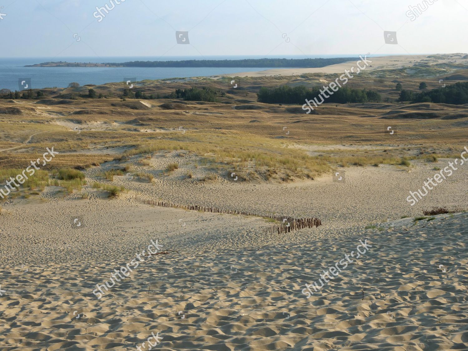 Parnidis Dune Curonian Spit National Park Editorial Stock Photo - Stock ...