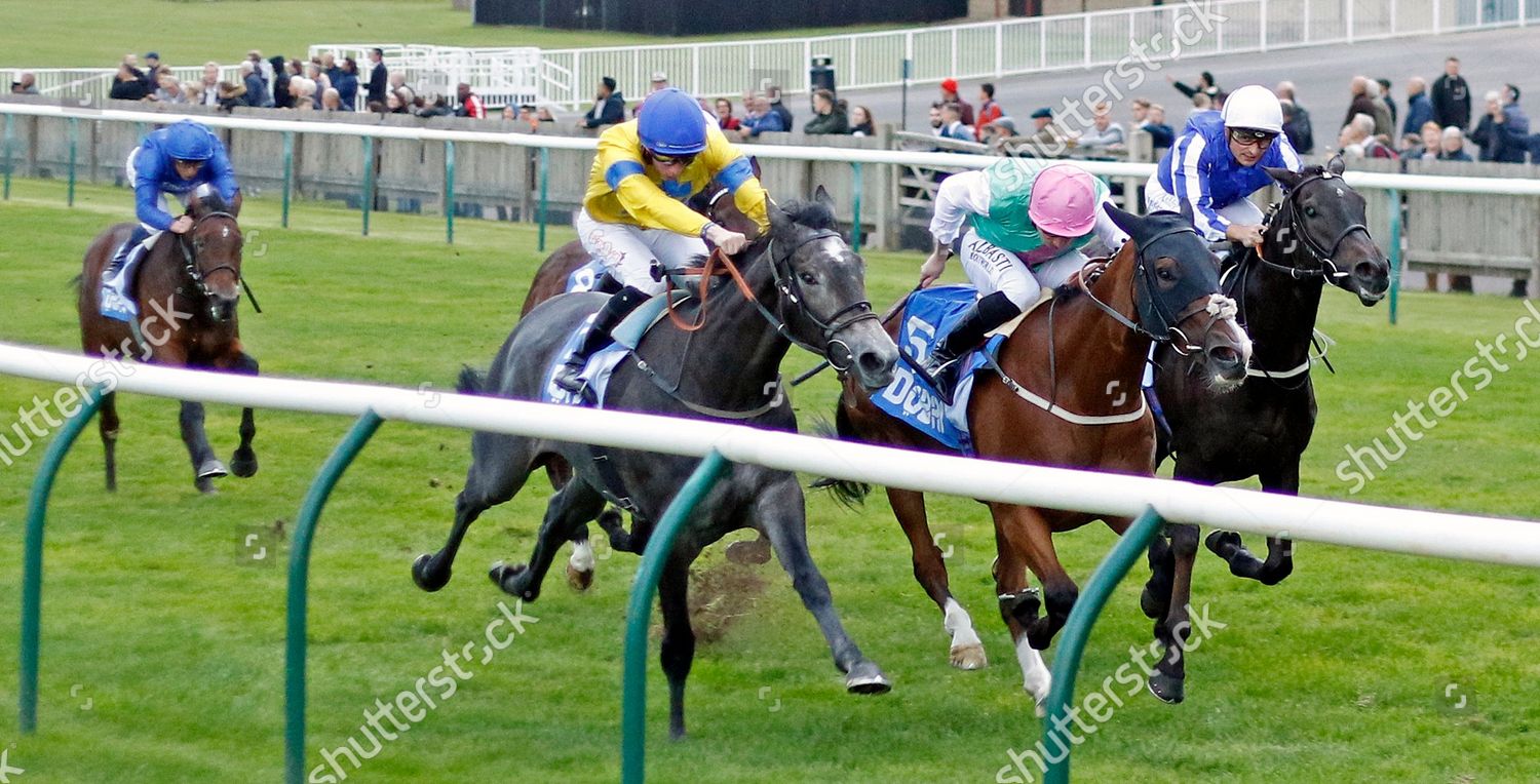 Sumo Sam Left Rossa Ryan Beats Editorial Stock Photo - Stock Image ...