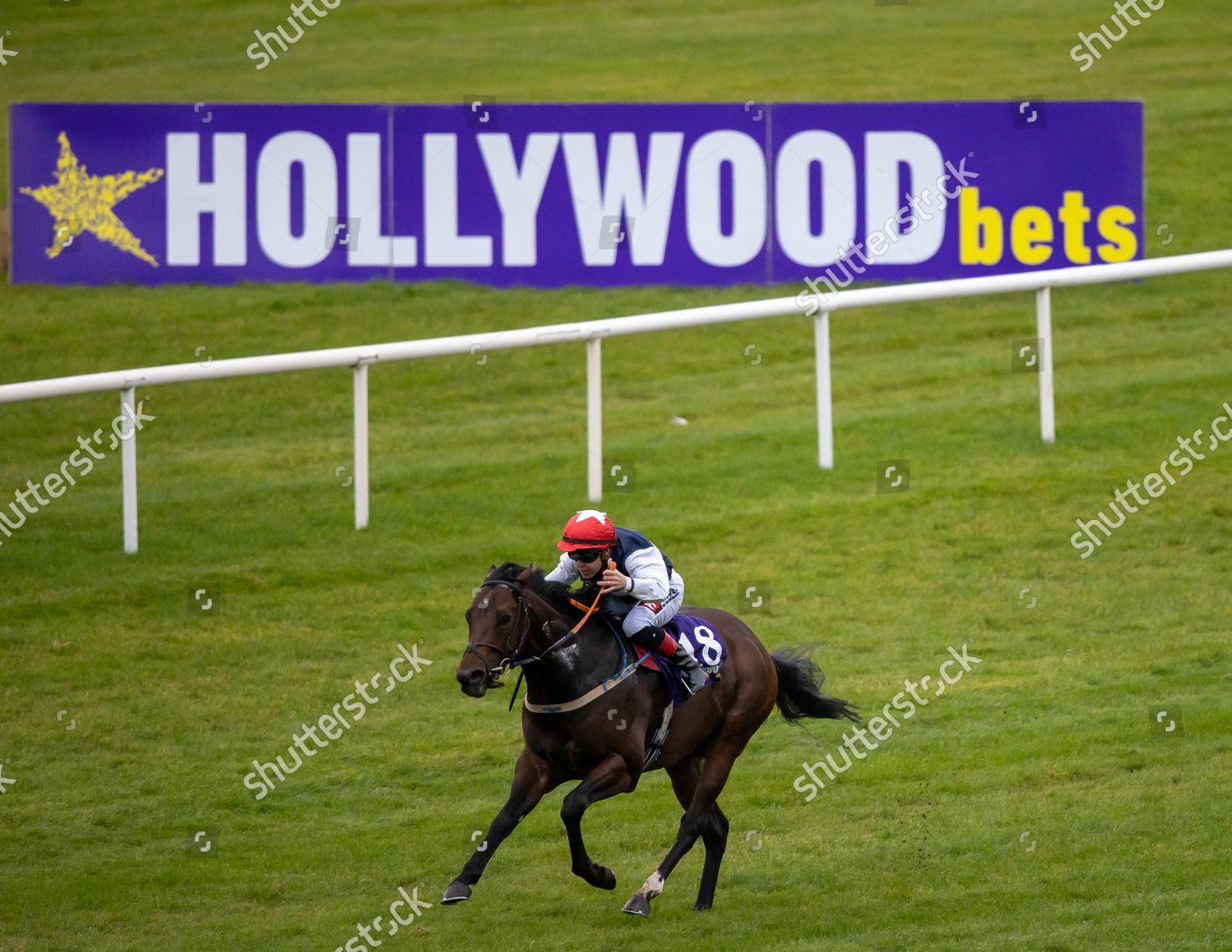 Hollywoodbets First Past Post Promotion Handicap Editorial Stock Photo ...
