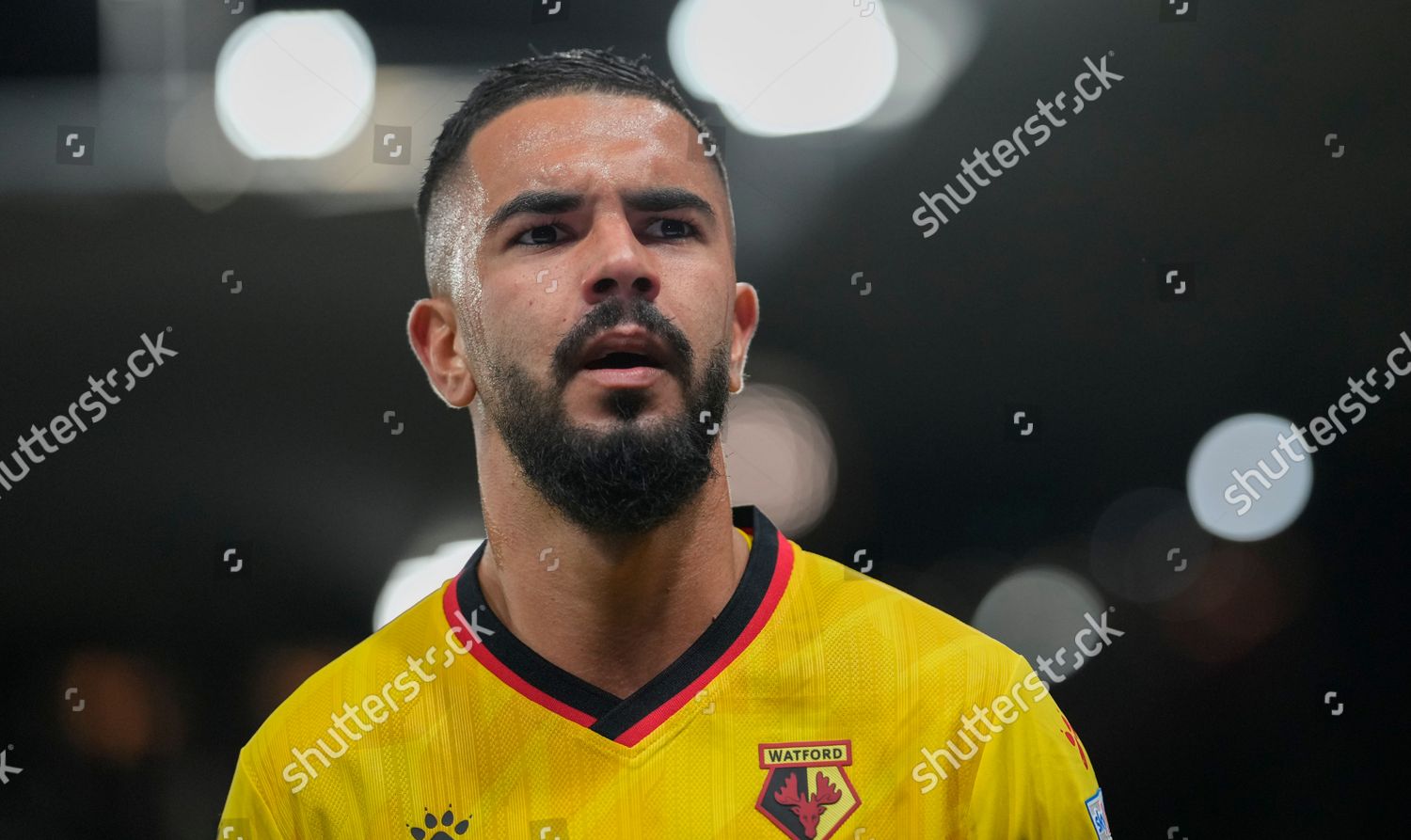 Imran Louza Watford 6 Editorial Stock Photo - Stock Image | Shutterstock