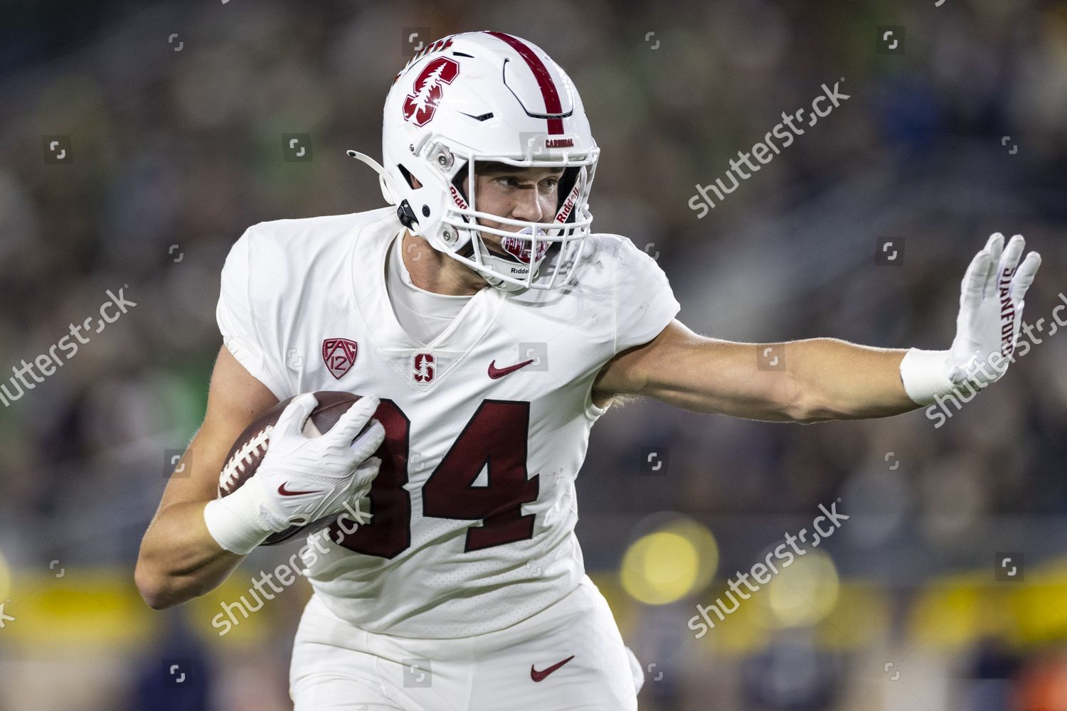 Stanford Tight End Benjamin Yurosek 84 Editorial Stock Photo - Stock ... Stanford Tight End Benjamin Yurosek 84 Editorial Stock Photo - Stock ...