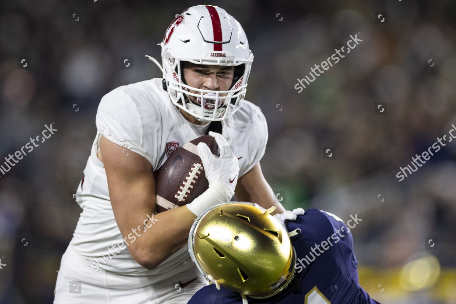 Stanford Tight End Benjamin Yurosek 84 Editorial Stock Photo - Stock ... Stanford Tight End Benjamin Yurosek 84 Editorial Stock Photo - Stock ...