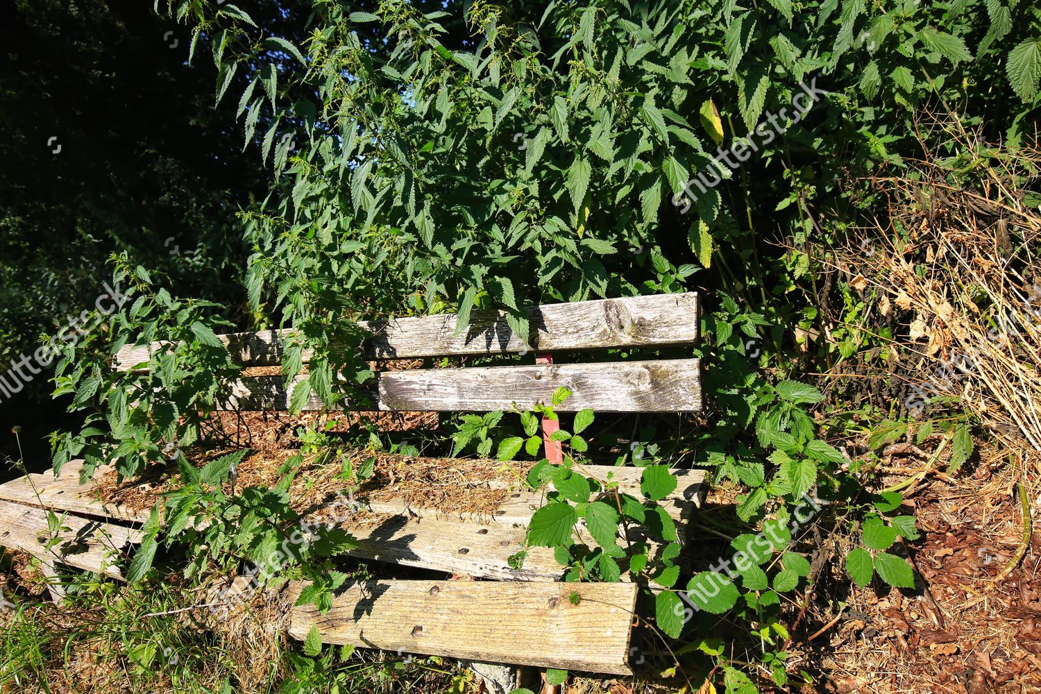 Rotten Collapsed Bench By Wayside Under Editorial Stock Photo - Stock ...