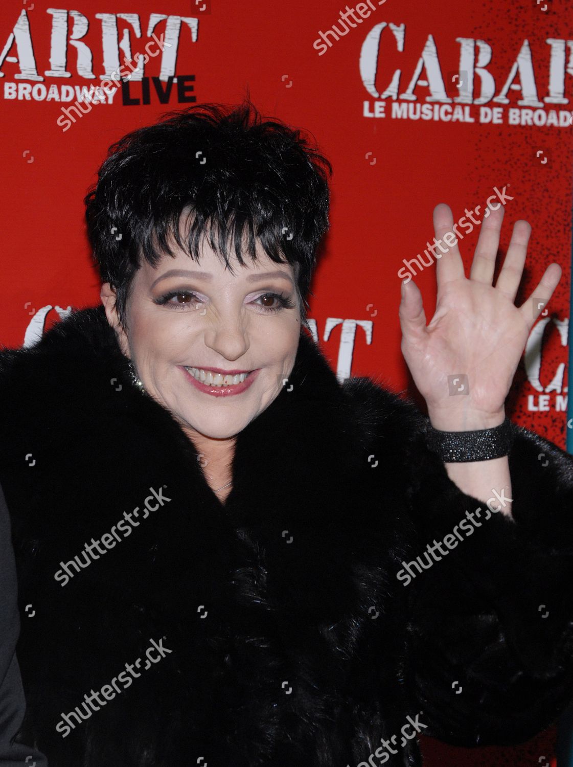 Us Singing Acting Legend Liza Minnelli Editorial Stock Photo - Stock ...