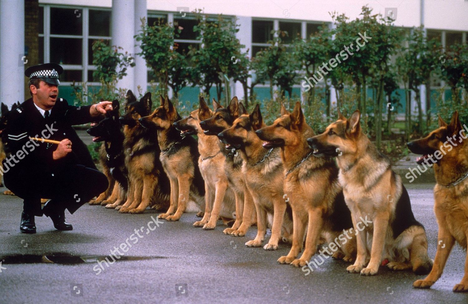 Police Dogs Handler Editorial Stock Photo - Stock Image | Shutterstock
