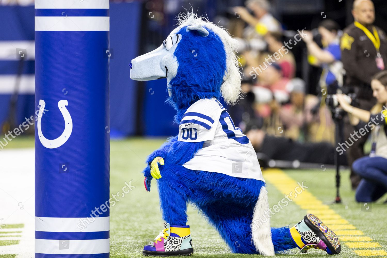 Indianapolis Colts Mascot Blue During Nfl Editorial Stock Photo - Stock Image | Shutterstock