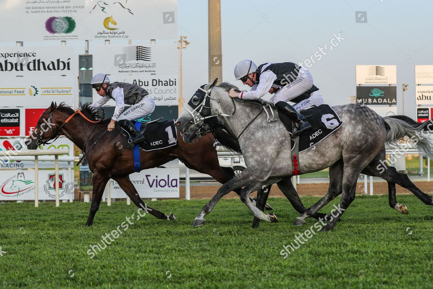 Bahar Muscat Om Ridden By Ray Editorial Stock Photo - Stock Image ...