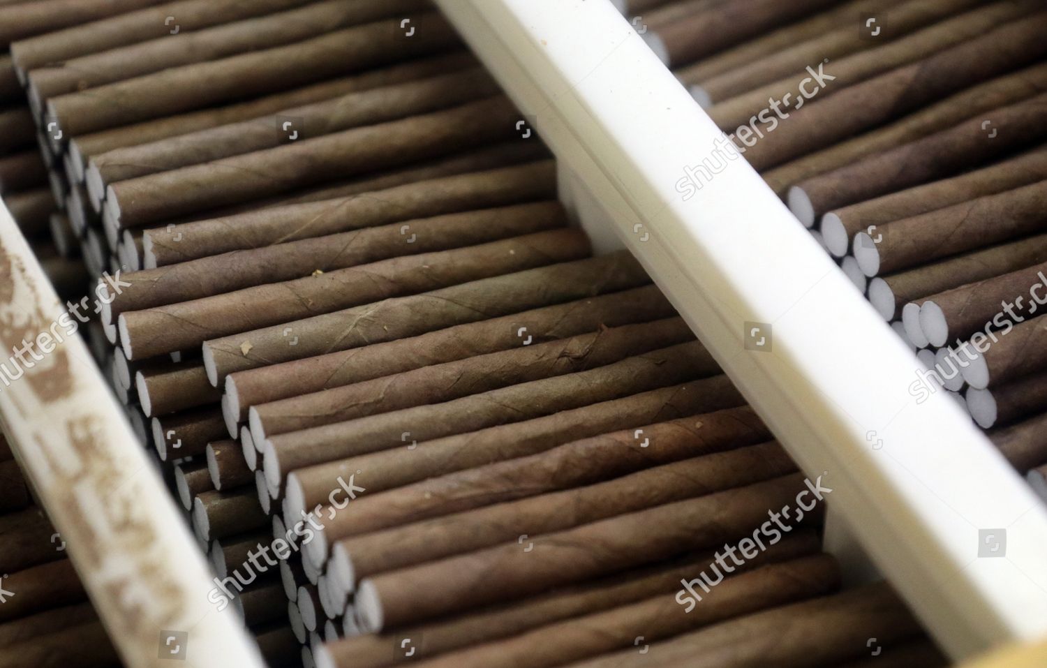 Small Filtered Cigars Known Cigarillos Await Editorial Stock Photo ...