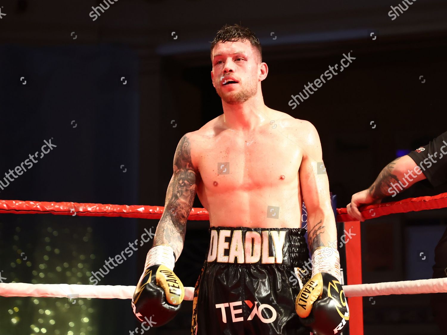 Dean Sutherland V Louis Greene Commonwealth Editorial Stock Photo ...