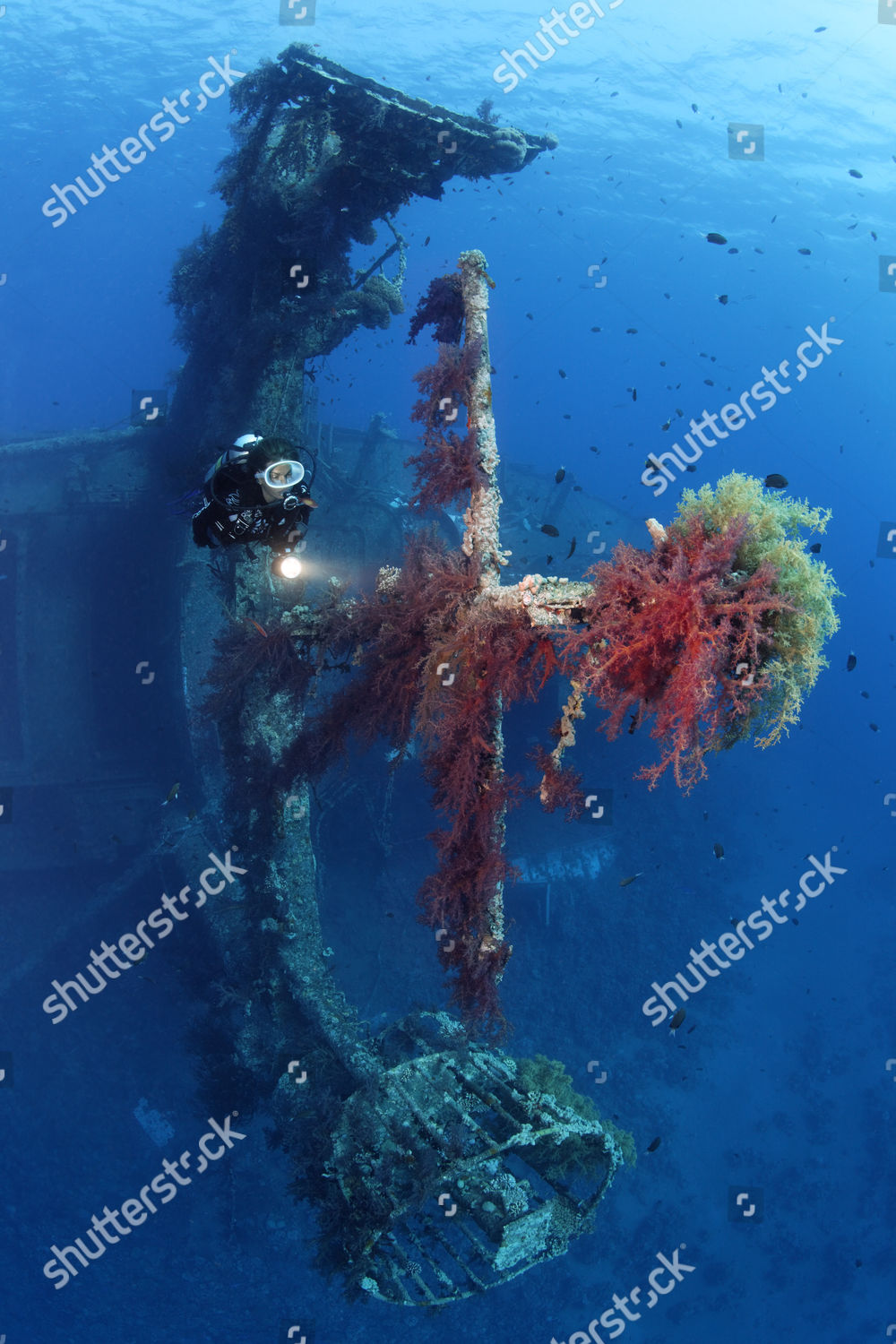 Model Released Diver Mast Awreck Overgrown Editorial Stock Photo ...