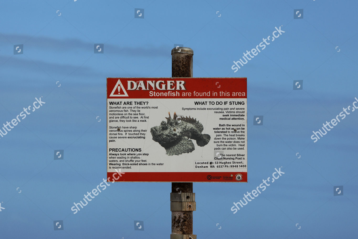 Stonefish Warning Sign Shark Bay Western Editorial Stock Photo - Stock ...