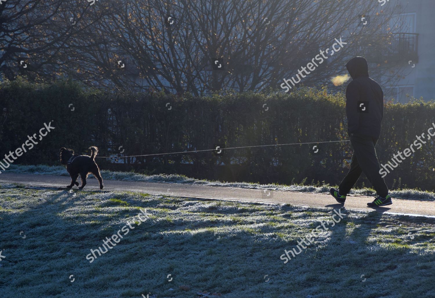 Sharp Frost Kent Town Gravesend Image Editorial Stock Photo - Stock ...