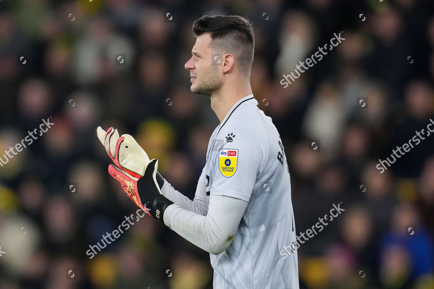 Watford Goalkeeper Daniel Bachmann 1 Editorial Stock Photo - Stock ...
