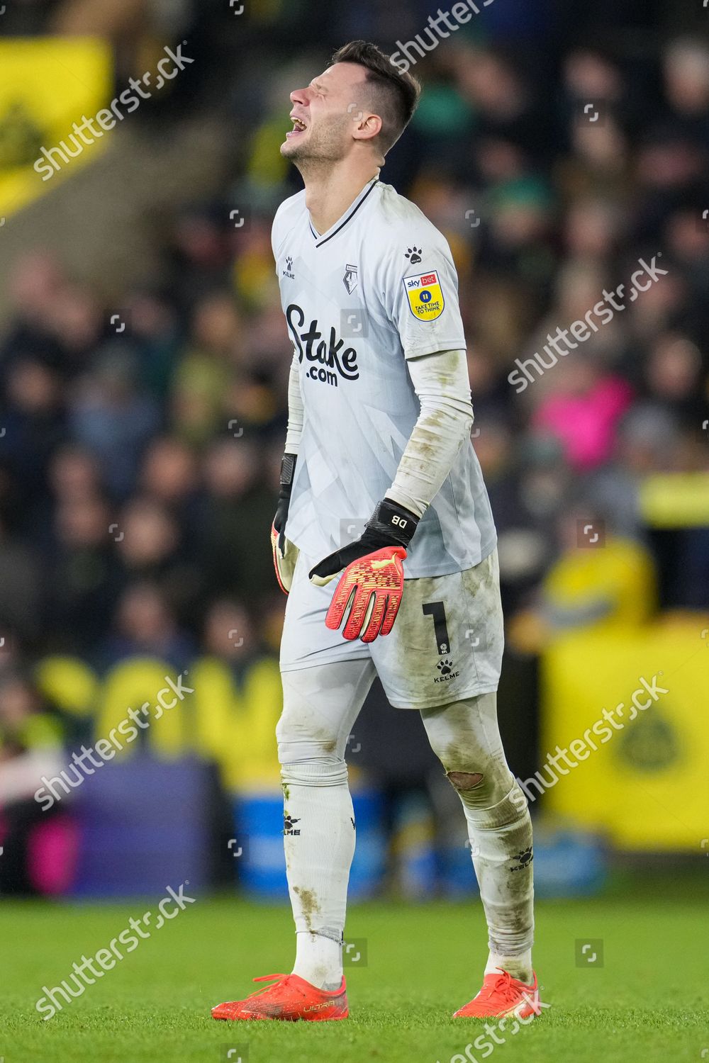 Watford Goalkeeper Daniel Bachmann 1 Celebrates Editorial Stock Photo ...