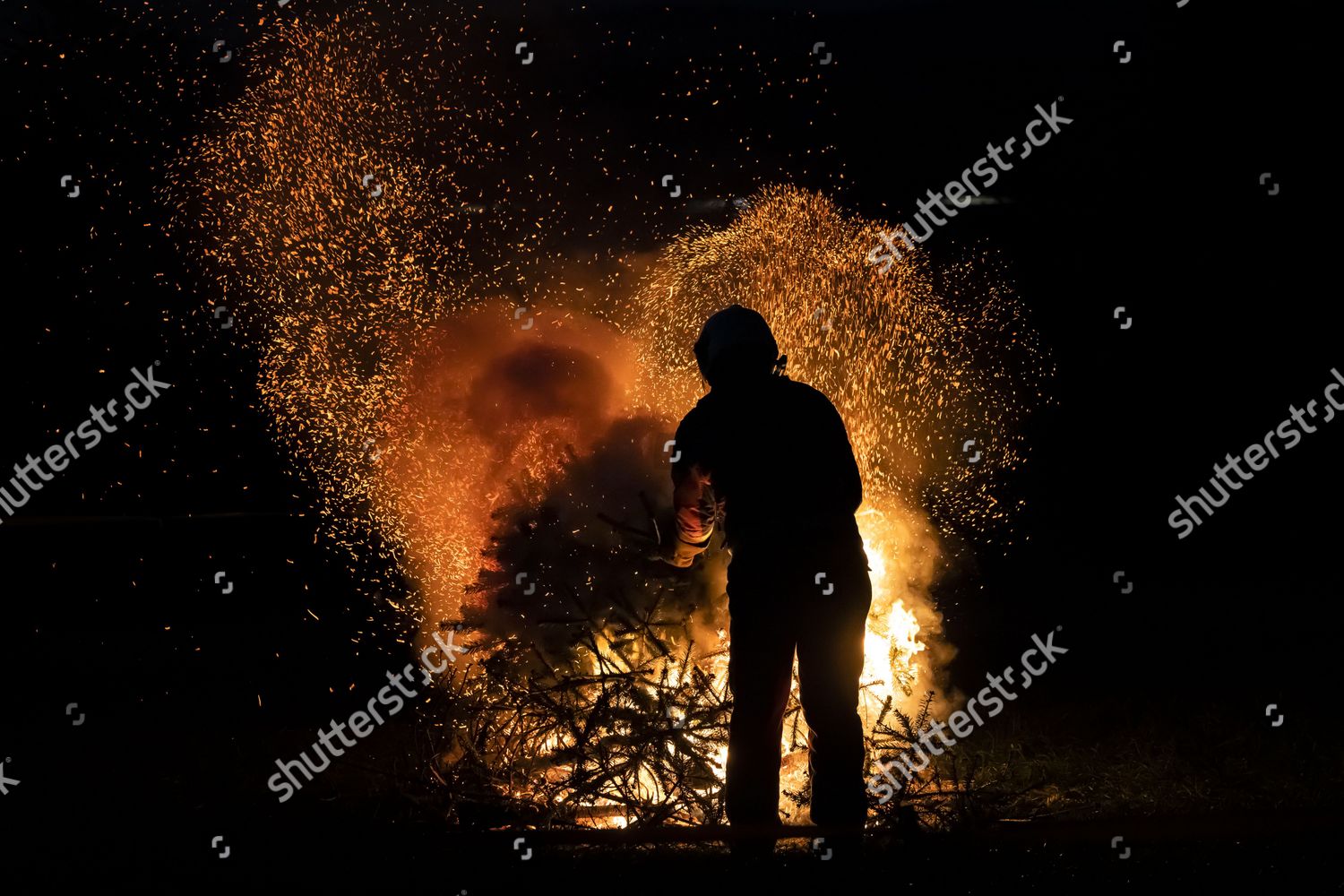 Firefighter Throws Villagers Christmas Trees On Editorial Stock Photo ...