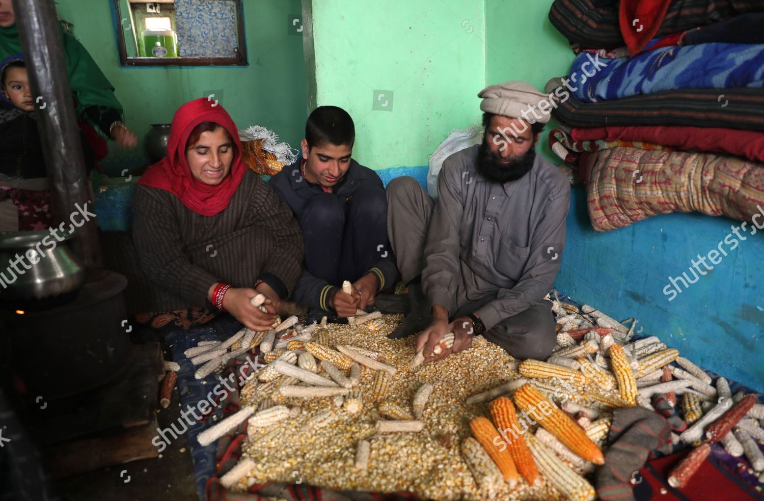 Family Members Shuck Corn Seeds Maize Editorial Stock Photo - Stock ...