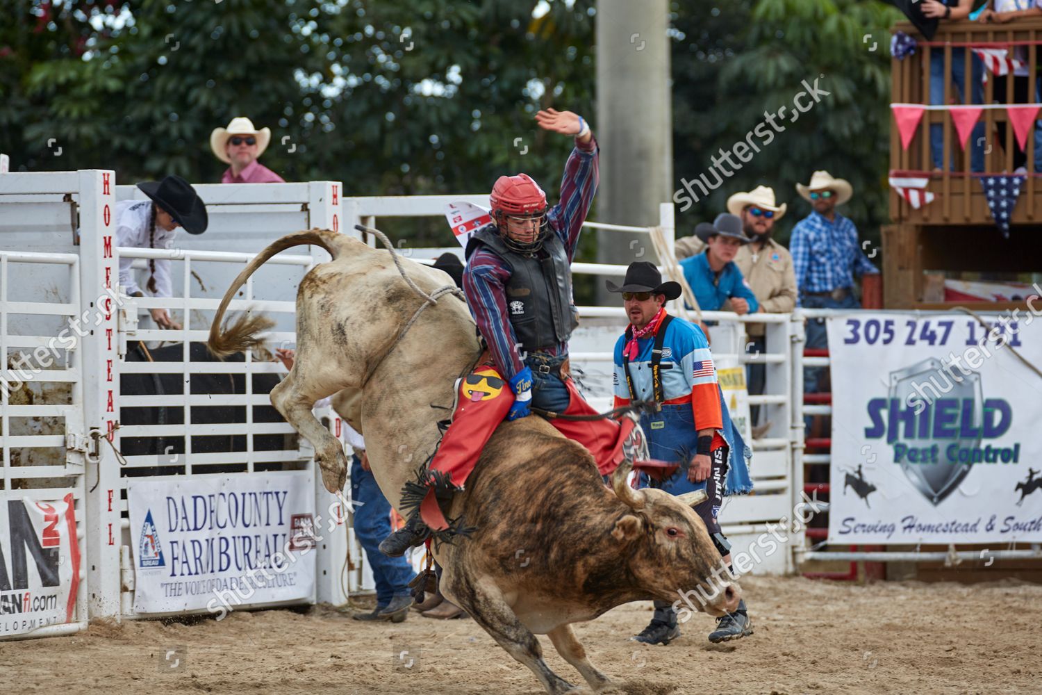 74th Annual Homestead Championship Rodeo Presented Editorial Stock ...