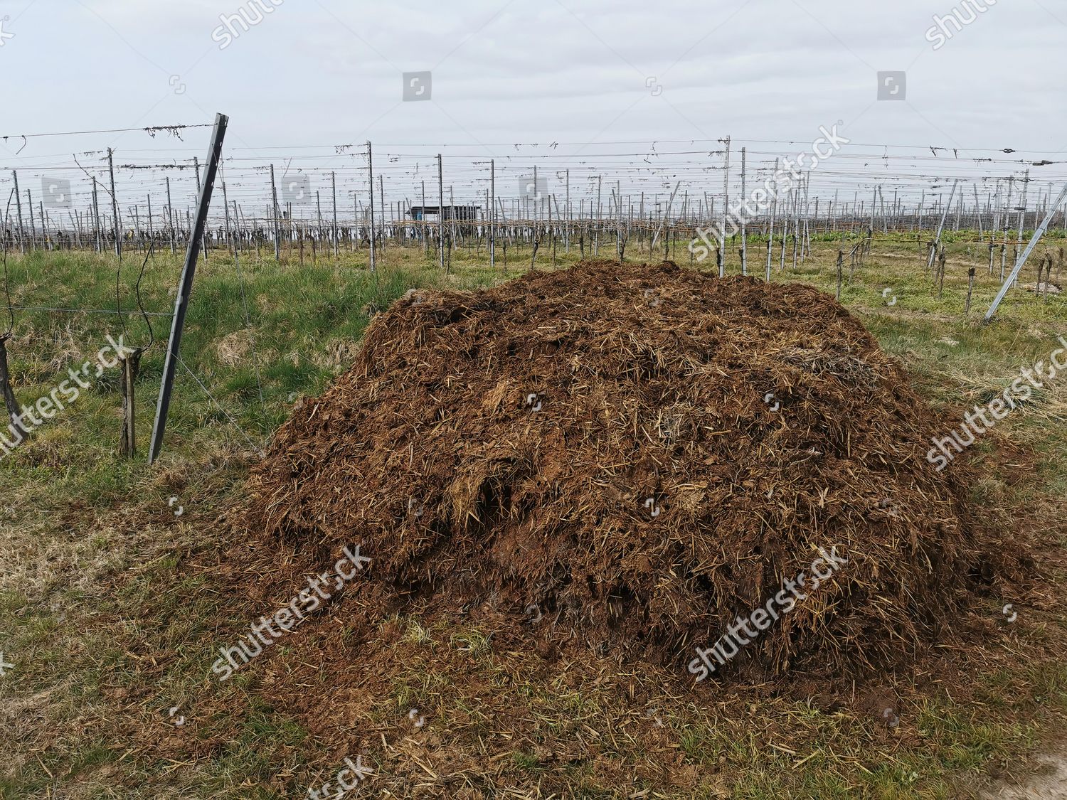 Agriculture Ecology Organic Farming Manure Heap Editorial Stock Photo ...
