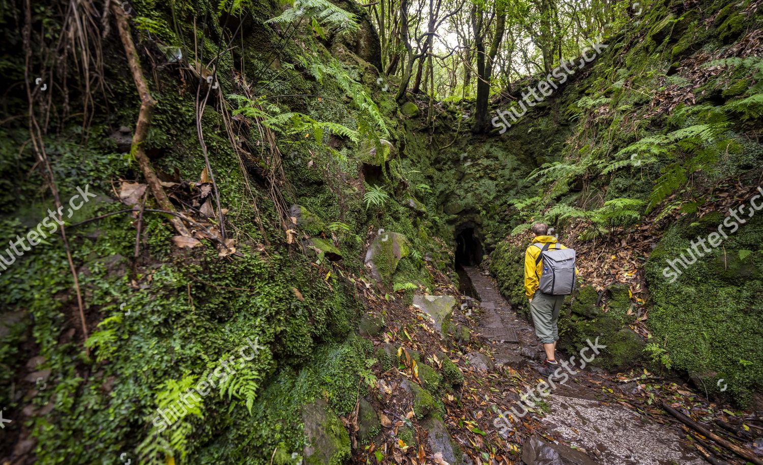 Hiker On Hiking Trail Entrance Tunnel Editorial Stock Photo - Stock ...