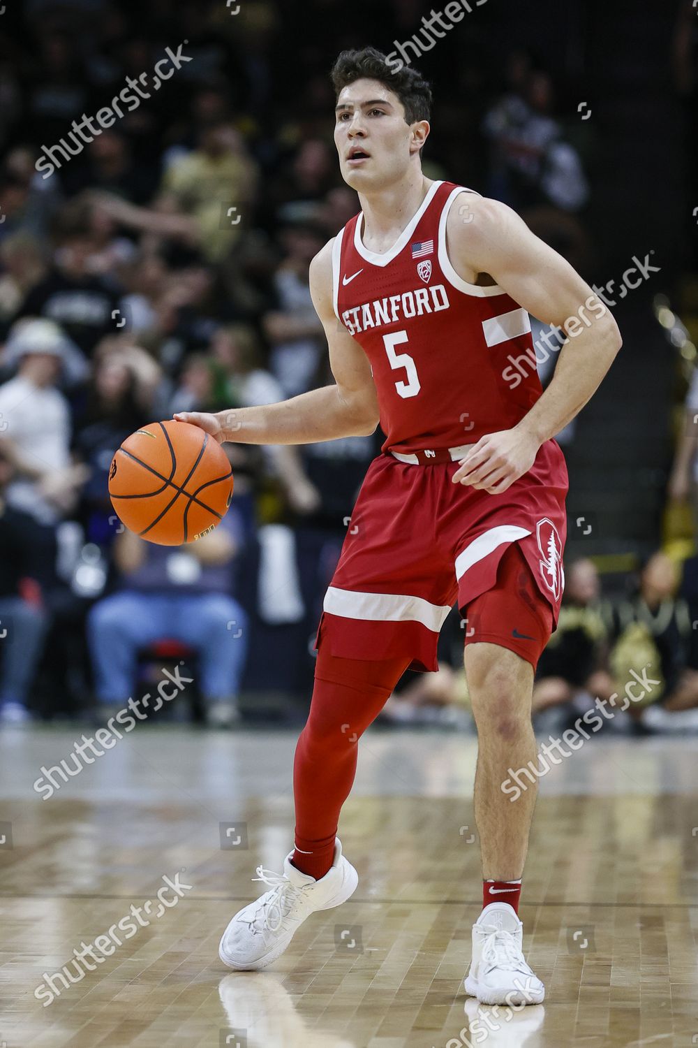 Stanford Cardinal Guard Michael Oconnell 5 Editorial Stock Photo ...