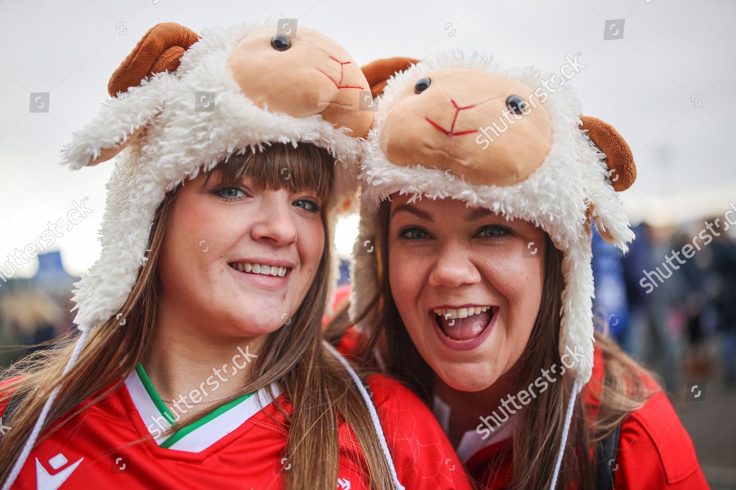 Scotland Vs Wales Wales Fans Cara Editorial Stock Photo - Stock Image ...