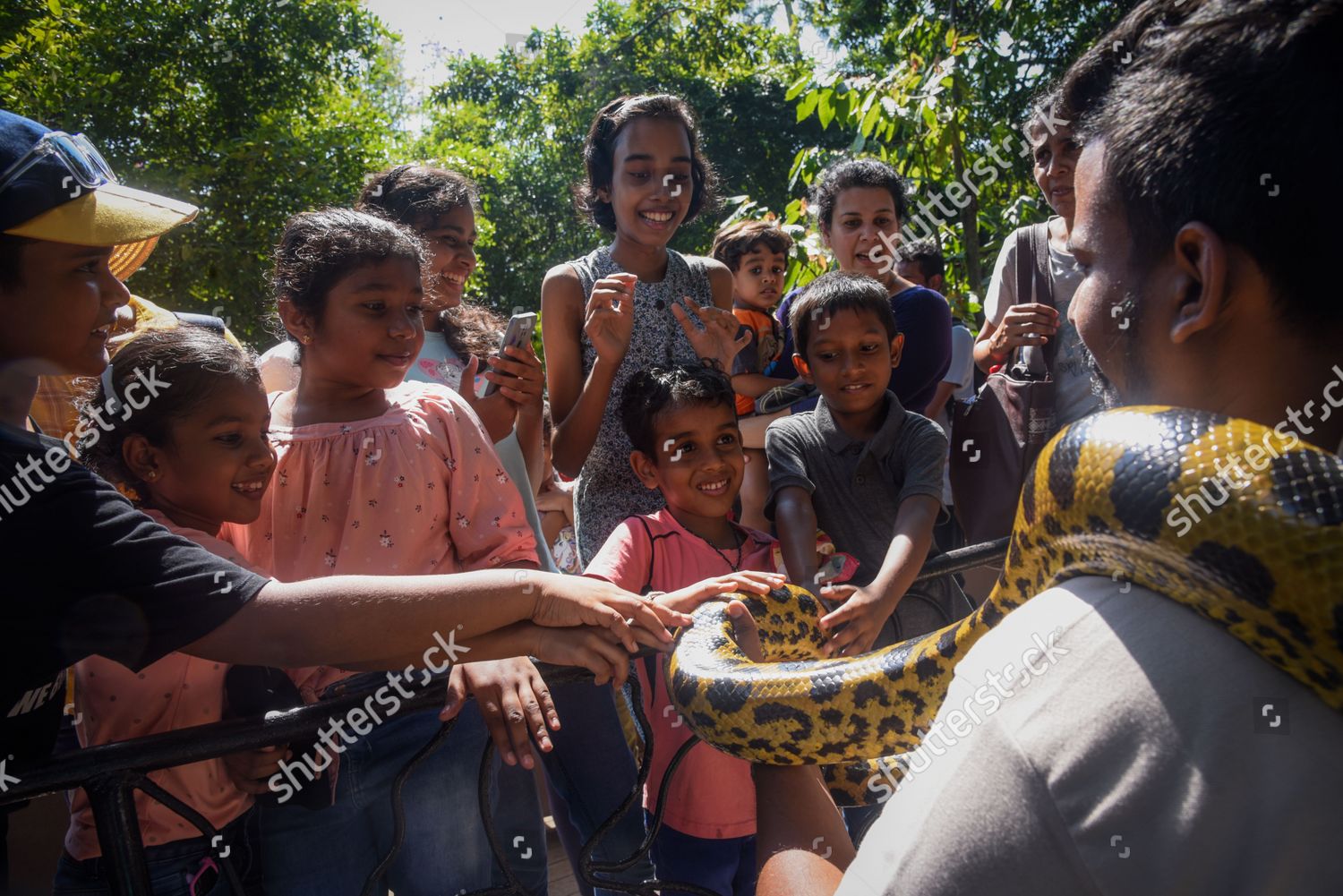 Zoo Caretaker Displays Green Anaconda National Editorial Stock Photo ...