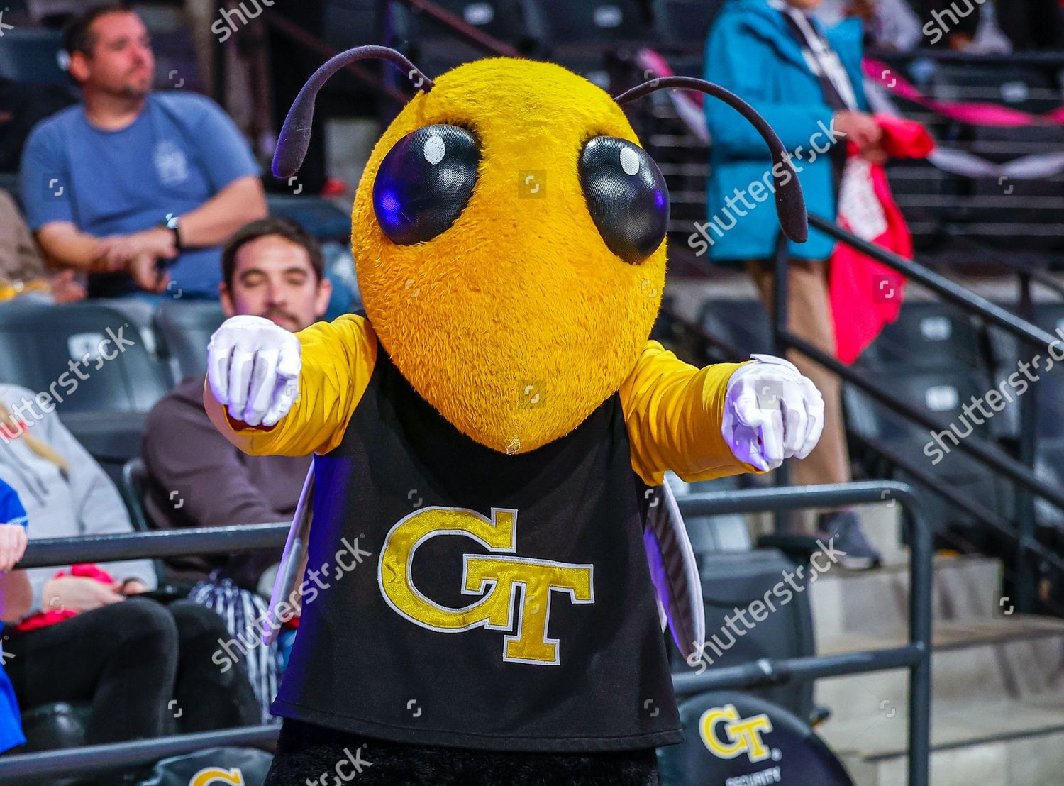 Georgia Techs Iconic Mascot Buzz Before Editorial Stock Photo - Stock ...
