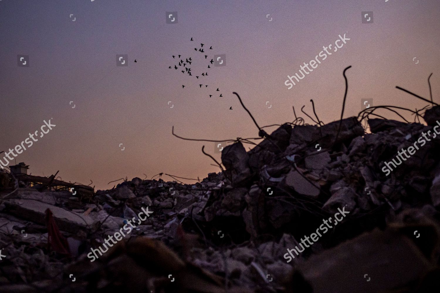 Birds Fly Over Debris Collapsed Buildings Editorial Stock Photo - Stock ...