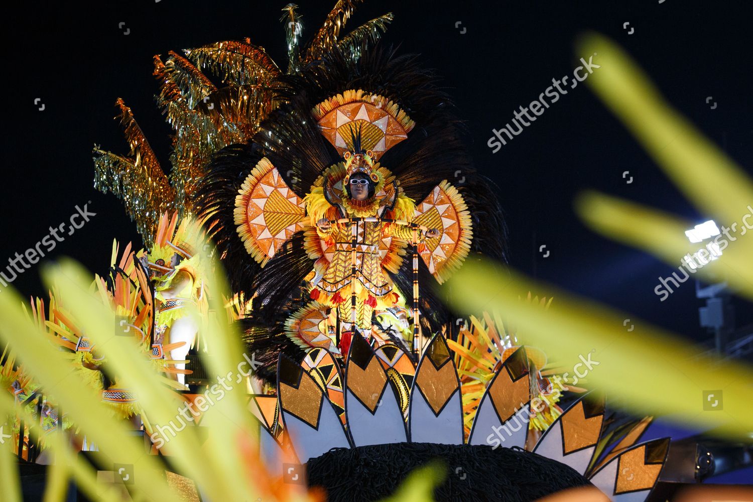Float Participates Carnival Parade Sambadrome Rio Editorial Stock Photo ...