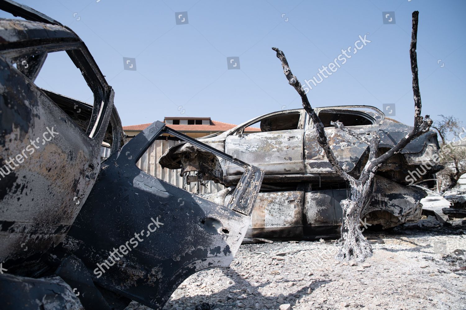 Burned Olive Tree Vehicles Which Were Editorial Stock Photo - Stock ...