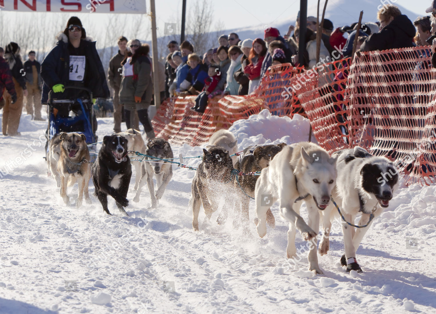 Yukon Quest Iditarod Musher Hugh Neff Editorial Stock Photo - Stock ...