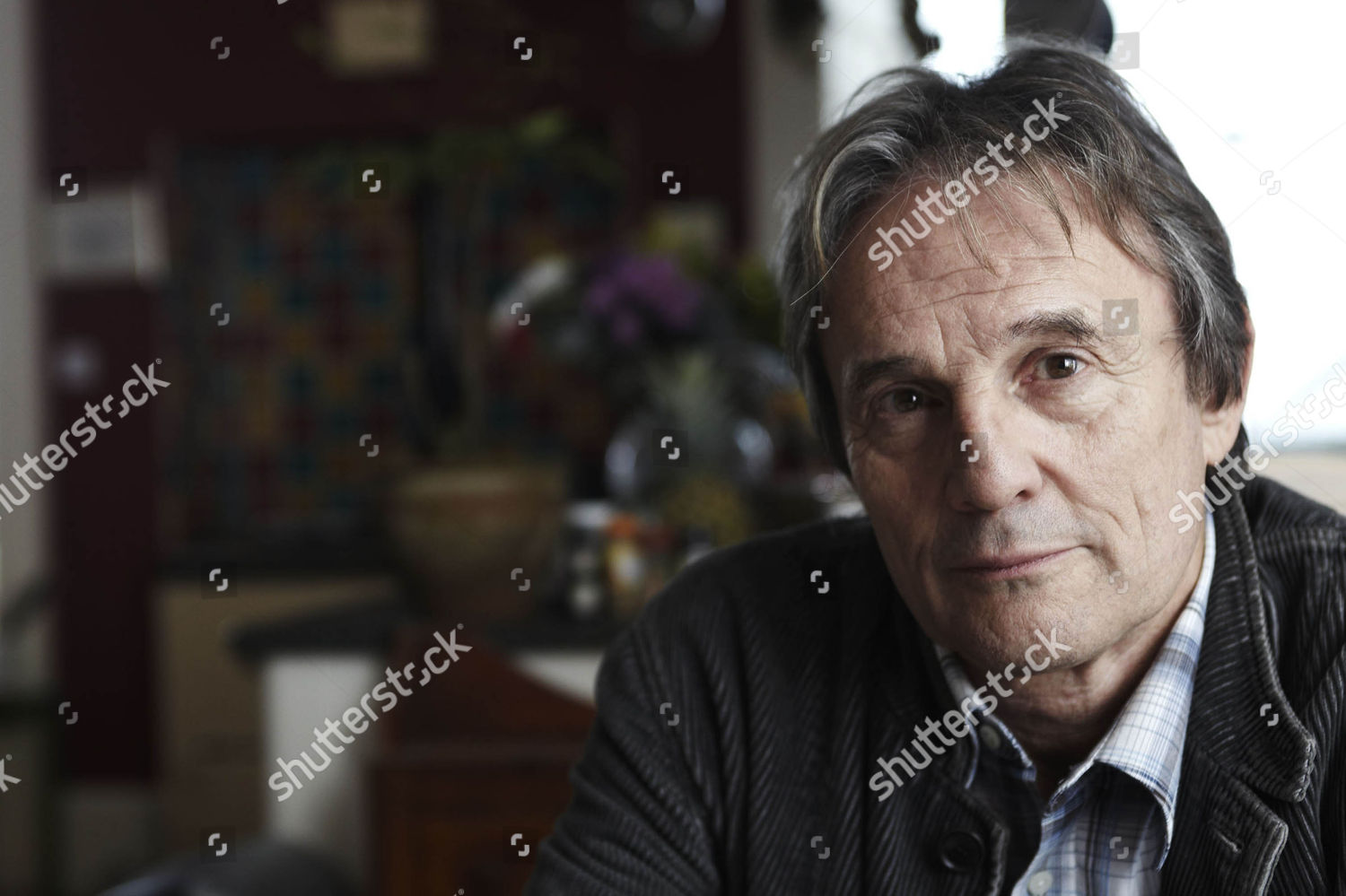 Murray Head Peter Calvert Editorial Stock Photo - Stock Image ...