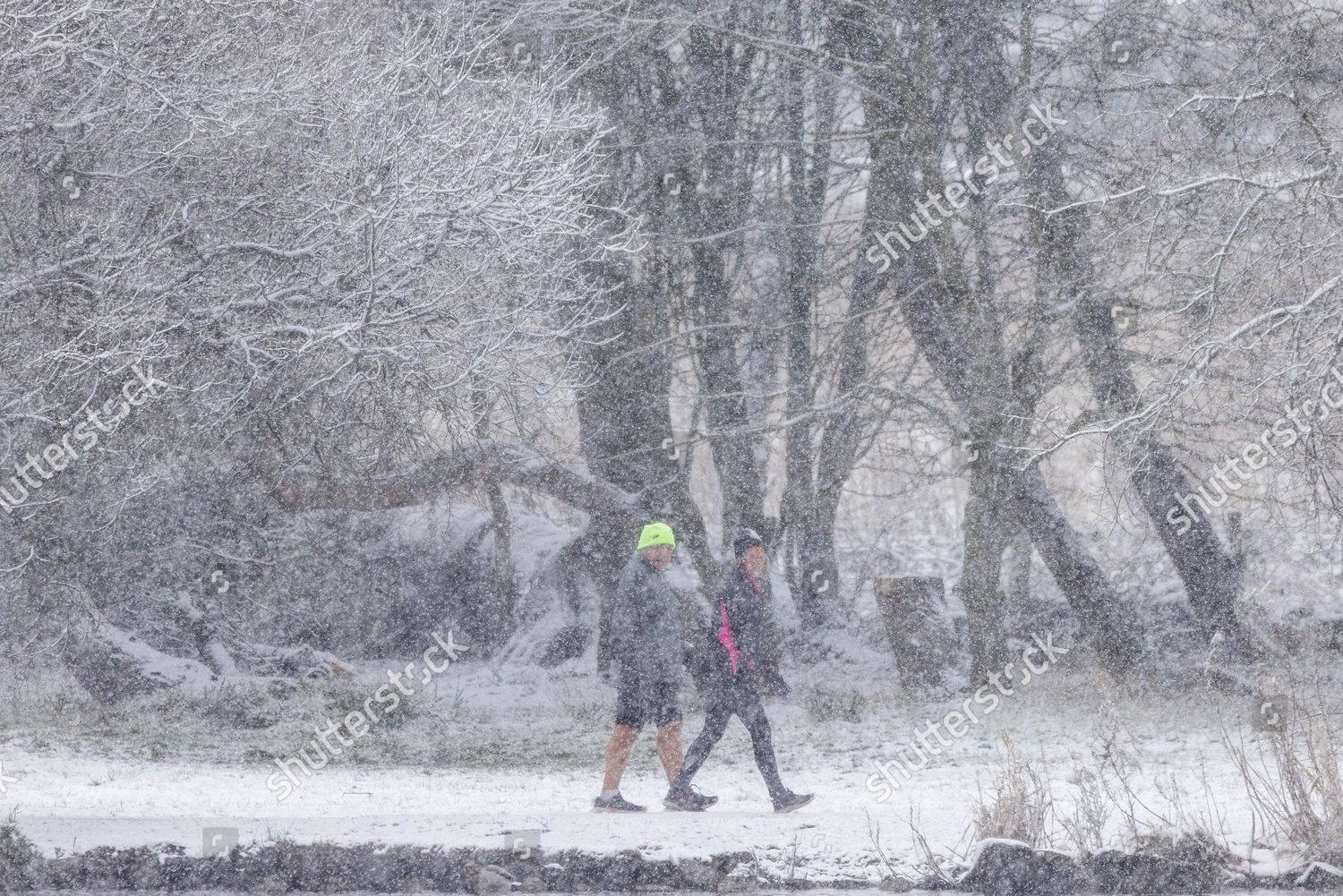 Two People Walk Through Heavy Snow Editorial Stock Photo - Stock Image ...