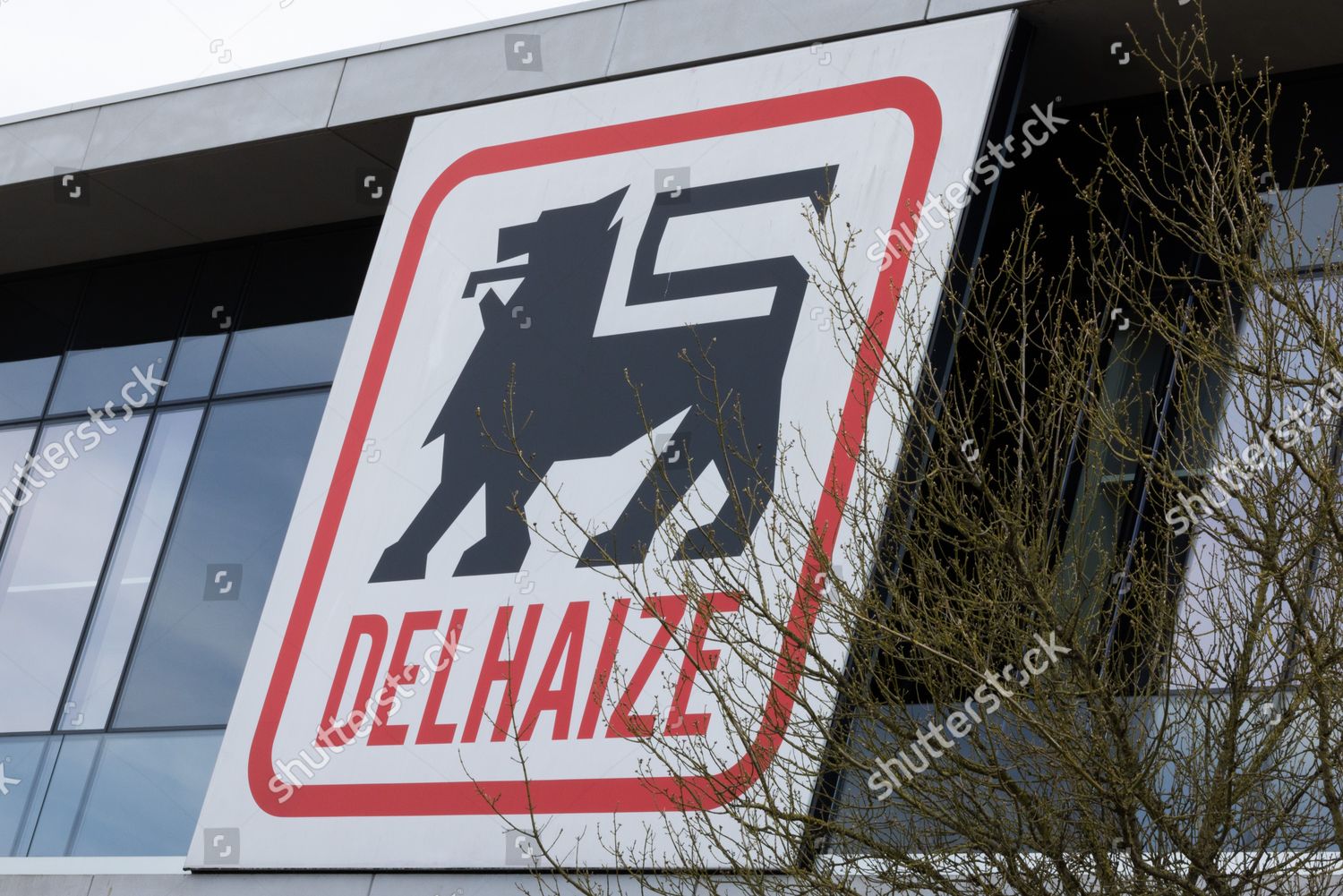 Illustration Picture Shows Delhaize Logo Headquarters Editorial Stock ...