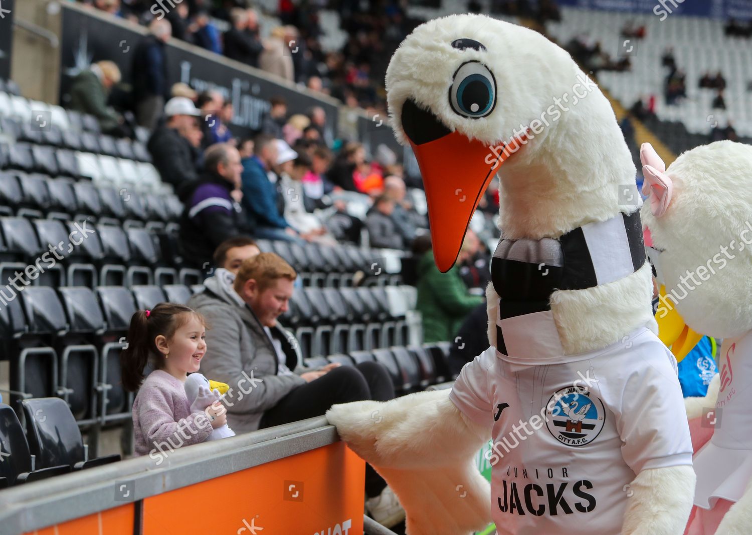 Swansea City Mascot Cyril Swan Editorial Stock Photo - Stock Image ...