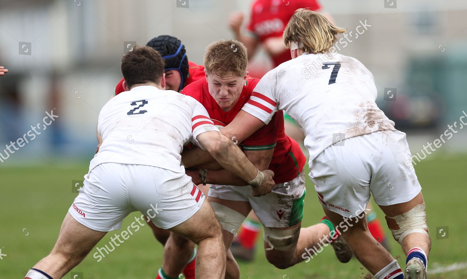 Harry Beddall Wales Takes On Jacob Editorial Stock Photo - Stock Image ...