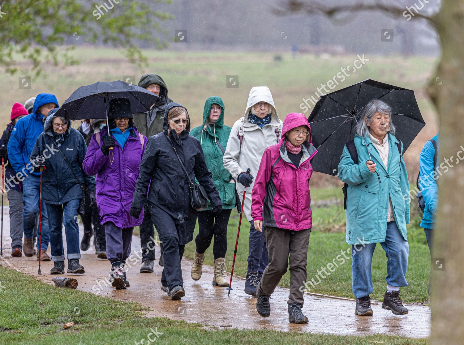Walkers Brave Wet Windy Conditions Richmond Editorial Stock Photo ...