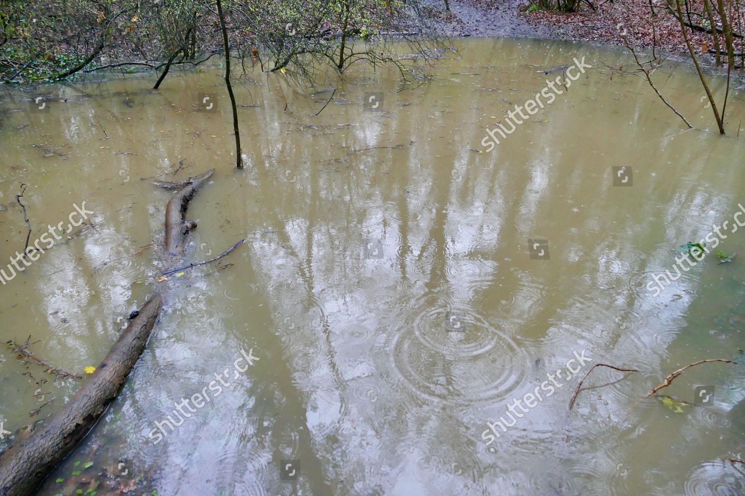Foot Paths Become Waterlogged Muddy Quagmires Editorial Stock Photo ...
