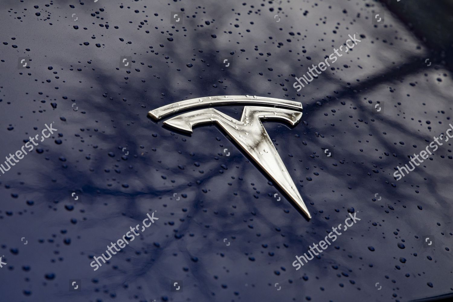 Logo Company Tesla On Car Rain Editorial Stock Photo - Stock Image ...