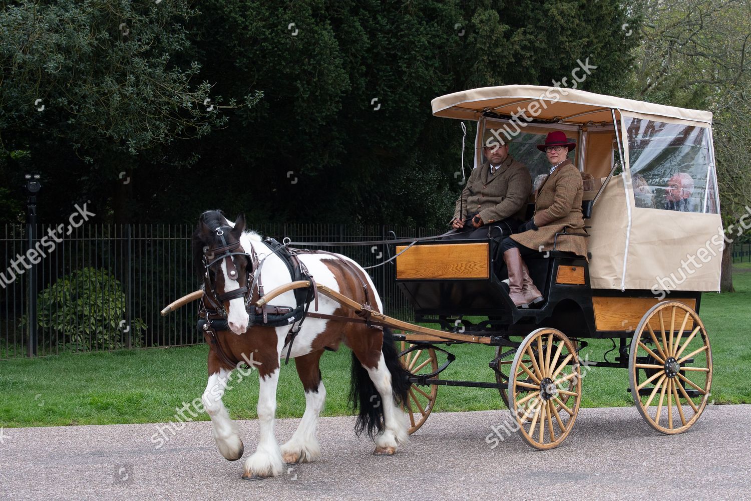 Horse Drawn Carriage Takes Visitors Long Editorial Stock Photo - Stock ...