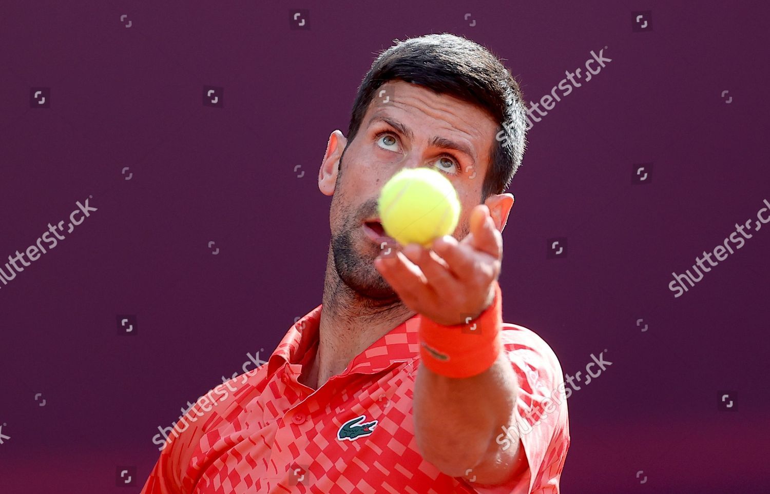 Serbias Novak Djokovic Serves Ball Dusan Editorial Stock Photo - Stock ...