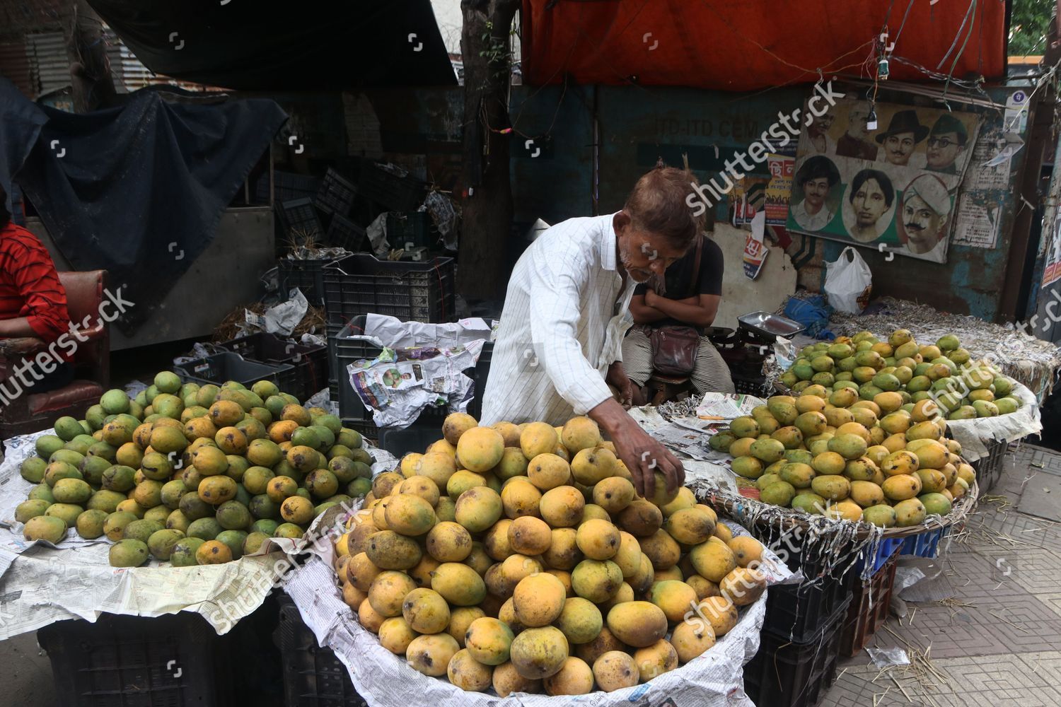 Indian Vendor Sells Mangoes Fruit Market Editorial Stock Photo - Stock ...