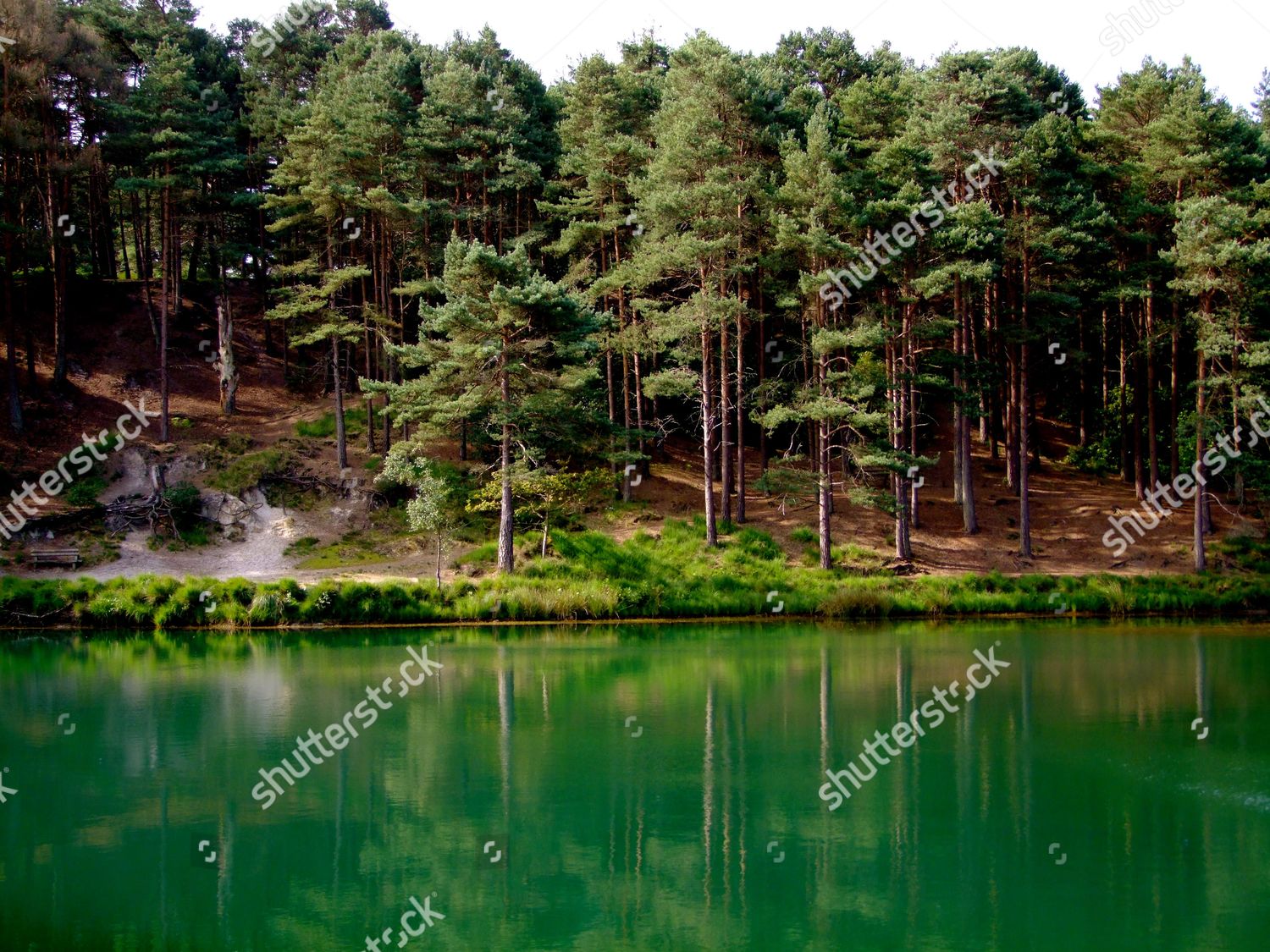 Blue Pool Dorset England Britain Editorial Stock Photo - Stock Image ...