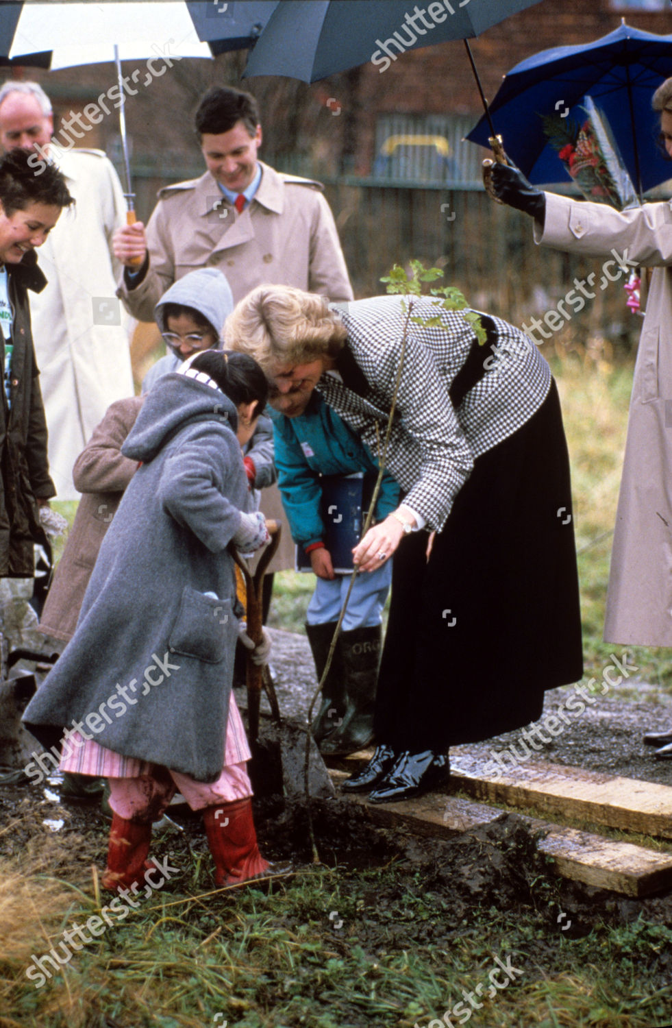 Princess Diana Planting Tree Editorial Stock Photo - Stock Image ...