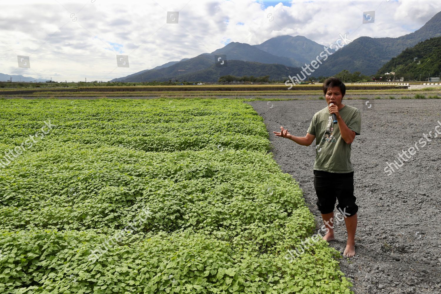Farmer Explains About Buckwheat Farming Farm Editorial Stock Photo ...