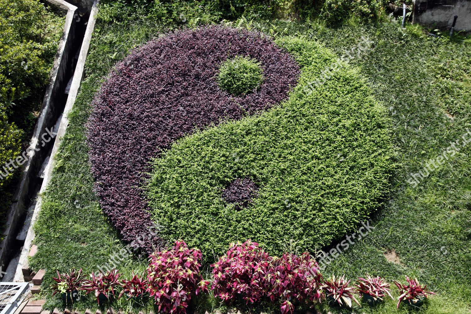Ying Yang Symbol Design Topiary Sik Editorial Stock Photo - Stock Image ...