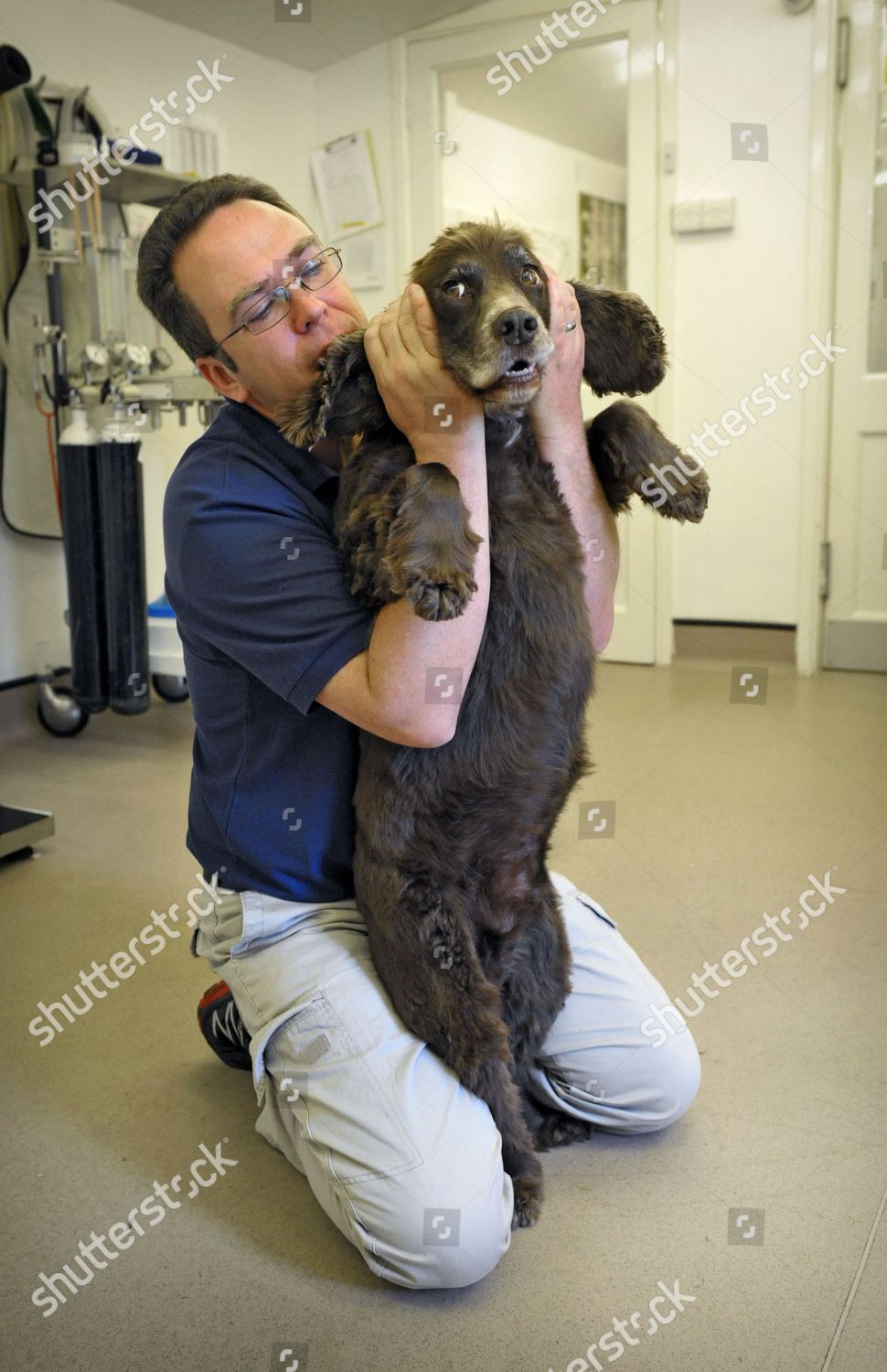Tony Nevin Treats Cocker Spaniel Suffering Editorial Stock Photo ...