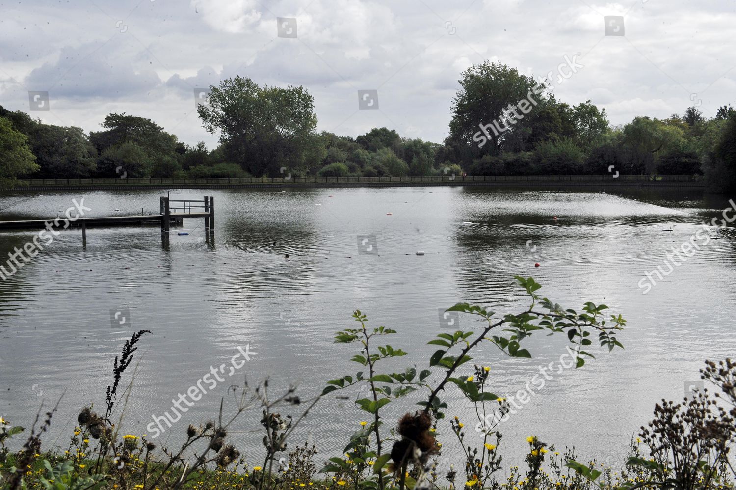Highgate Mens Bathing Pond Where Alien Editorial Stock Photo - Stock ...