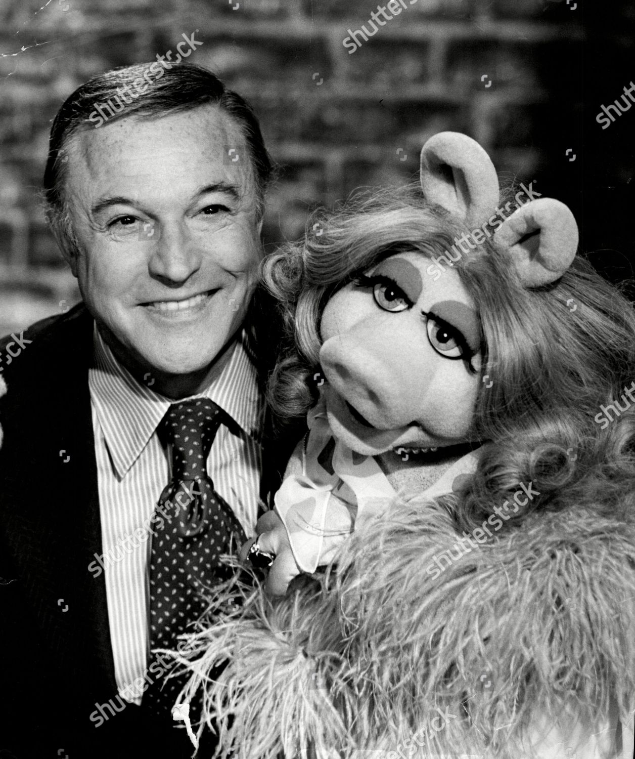 Television Puppets Muppets Actor Singer Dancer Editorial Stock Photo ...